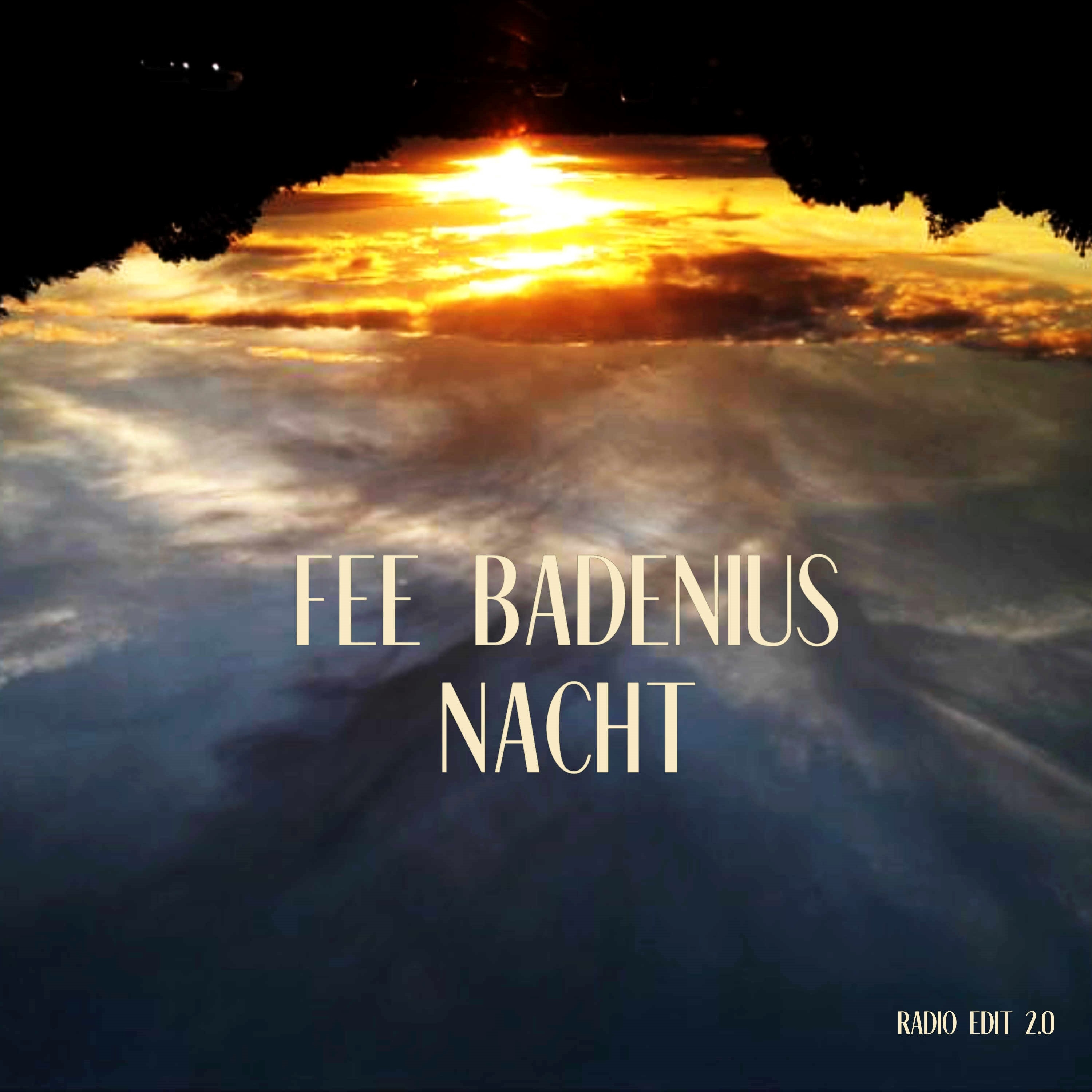 Heiner Lürig — Fee Badenius